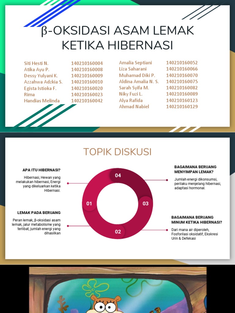 (LIPID 1) β-Oksidasi Asam Lemak pada Hibernasi | PDF | Kesehatan Holistik | Sains & Matematika