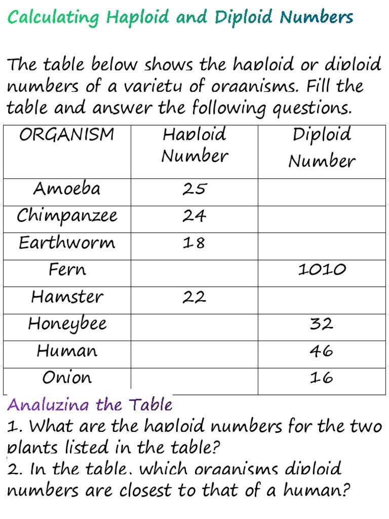 Calculating Haploid and Diploid Numbers | PDF