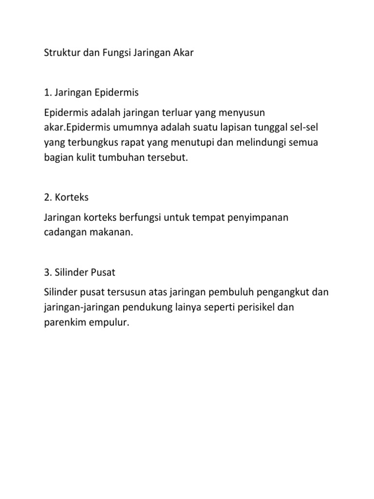 Struktur Jaringan Akar | PDF | Sains & Matematika