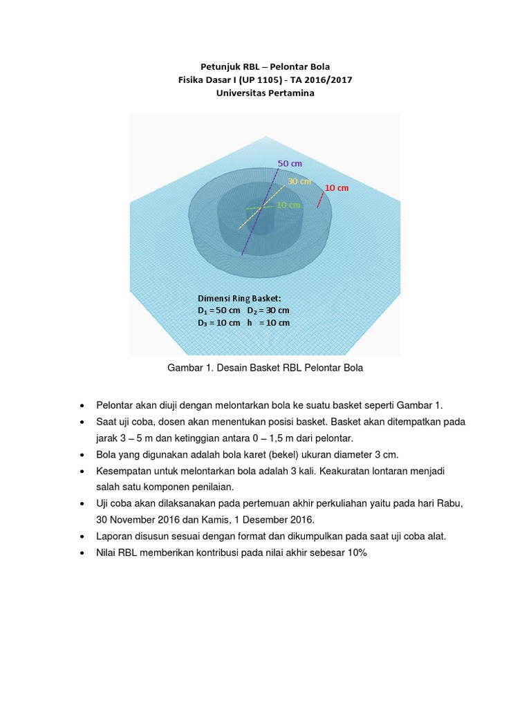 Petunjuk Format Laporan RBL | PDF