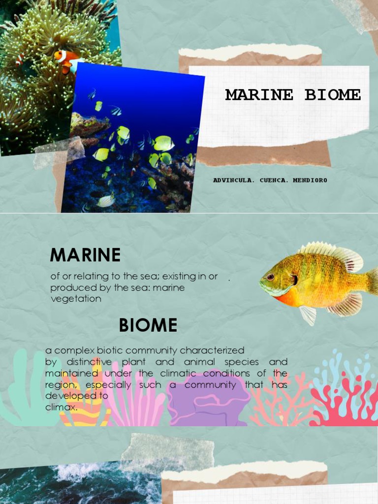 Marine Biome | PDF