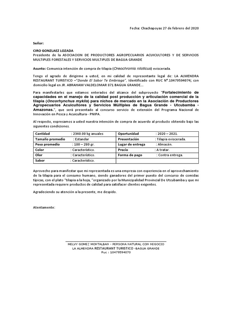 Carta de Intencion de Compra Modelo para Llenar | PDF