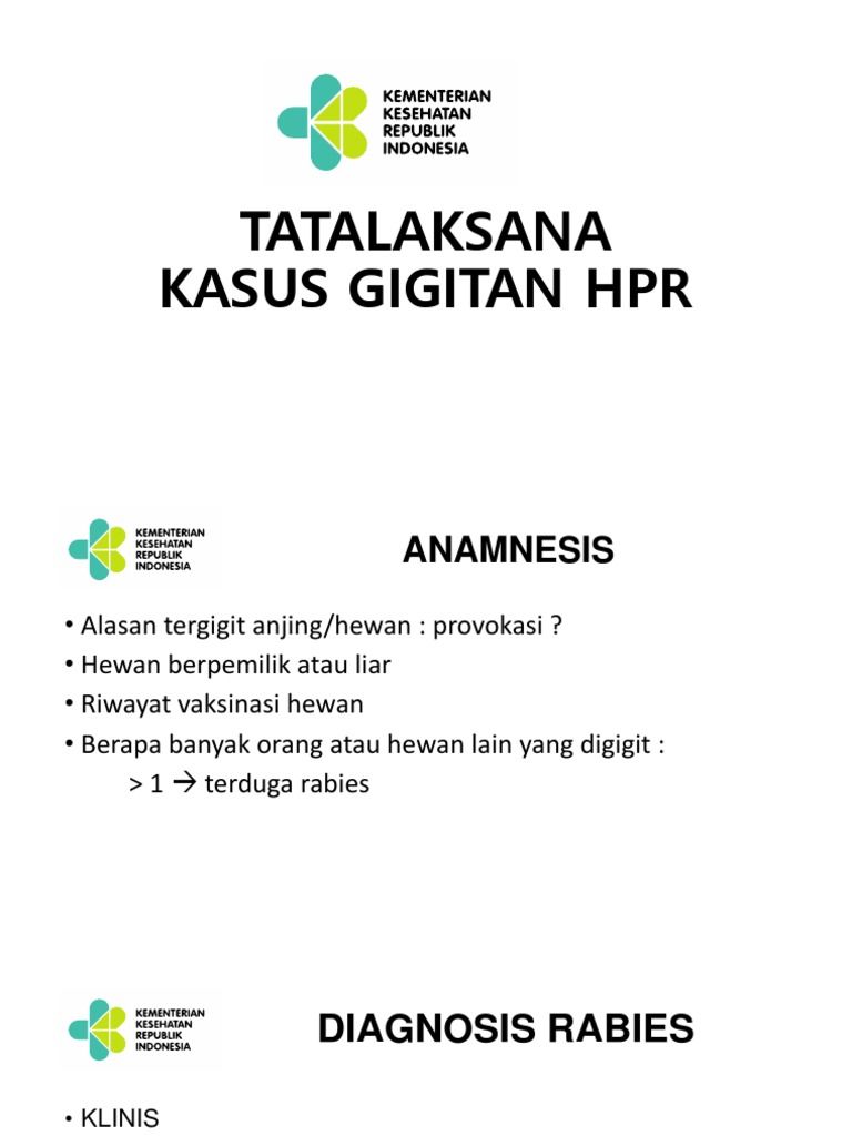 Tatalaksana Rabies Bali | PDF