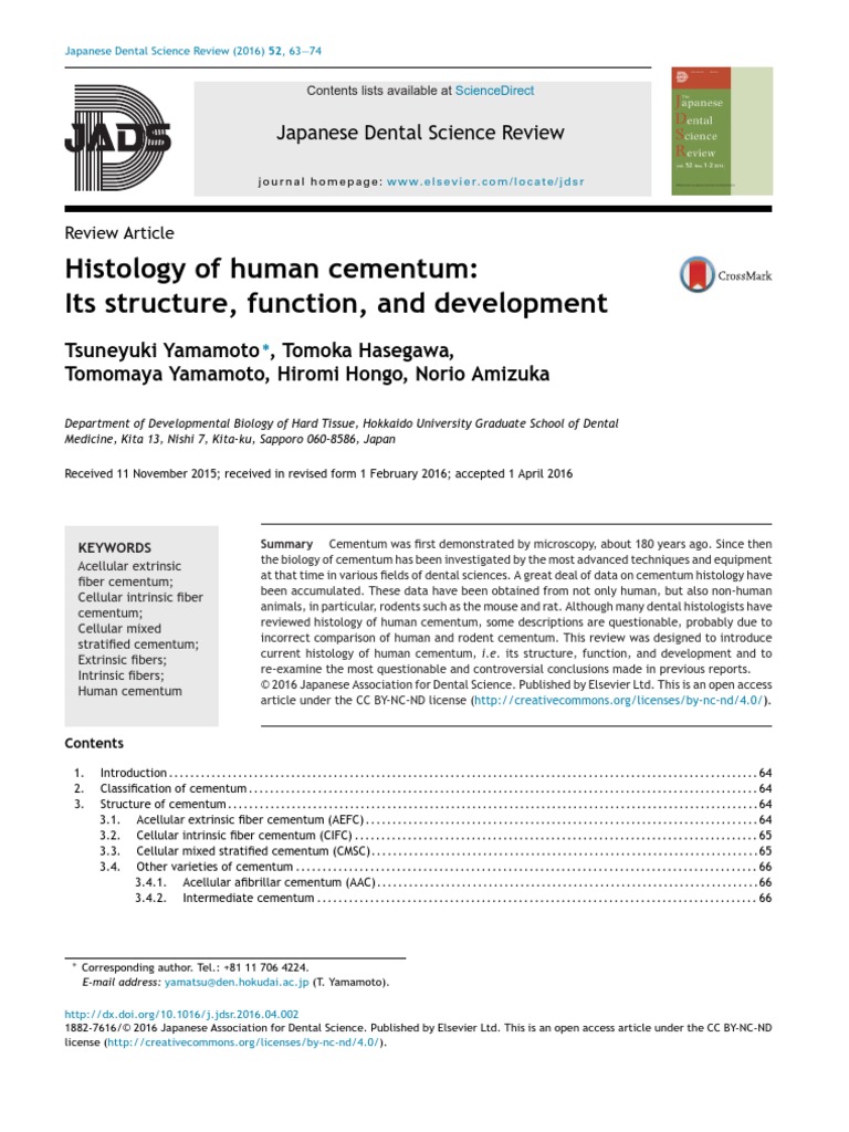 Histology of Human Cementum Its Structure Function PDF | PDF