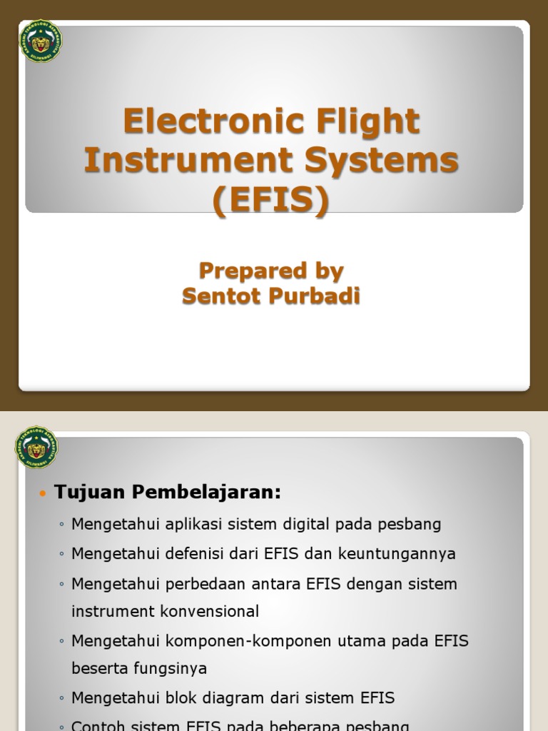 02 Efis | PDF