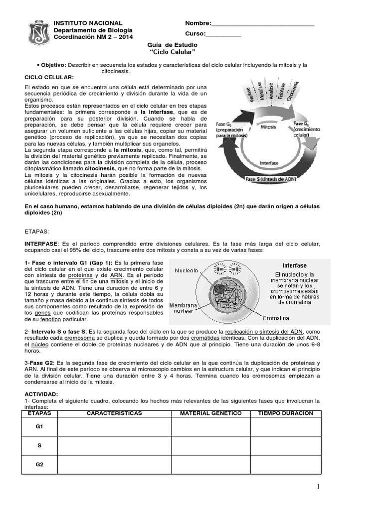2-Biología-Guía-de-Mitosis-y-Meiosis - PDF (SHARED) | PDF | Mitosis ...