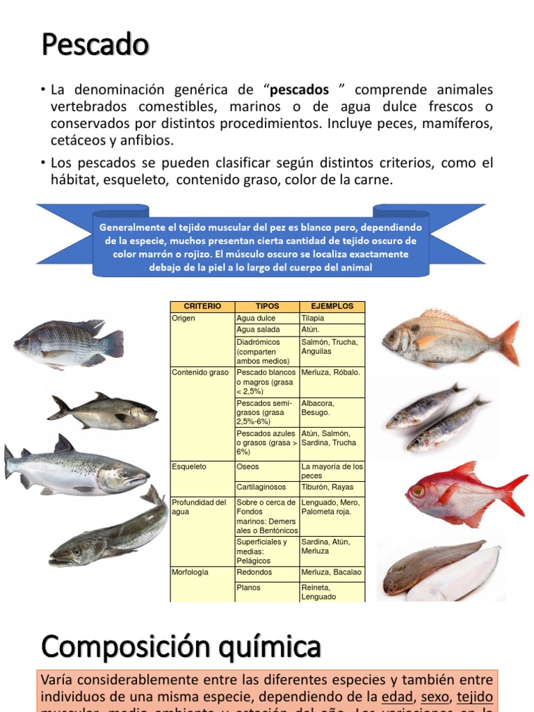 Pescado | PDF | Pescado como alimento | Pescado
