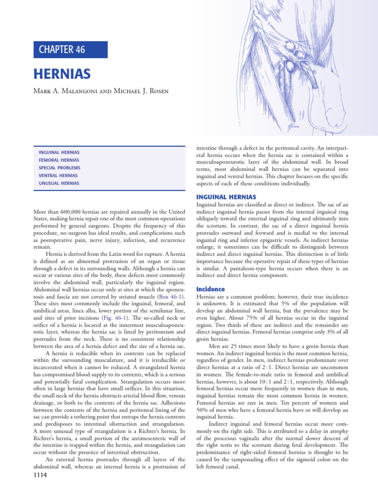 Anatomy and Classification of Common Hernias, with a Focus on Inguinal ...