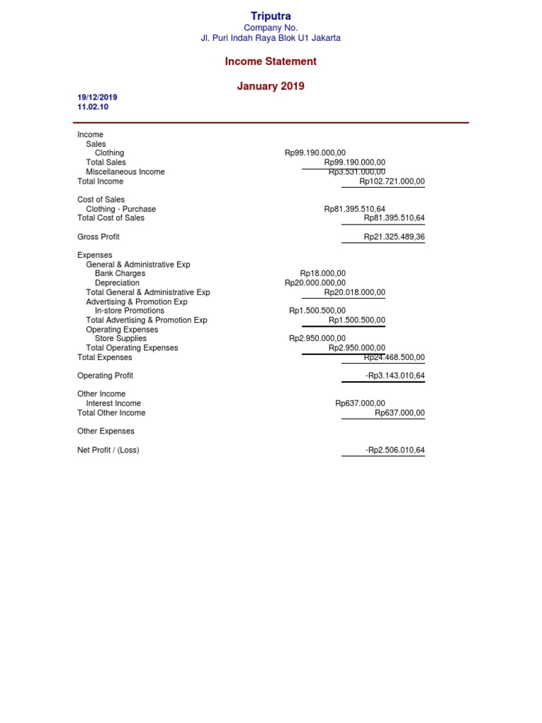 Income Statement (Accrual) | PDF | Finance & Money Management