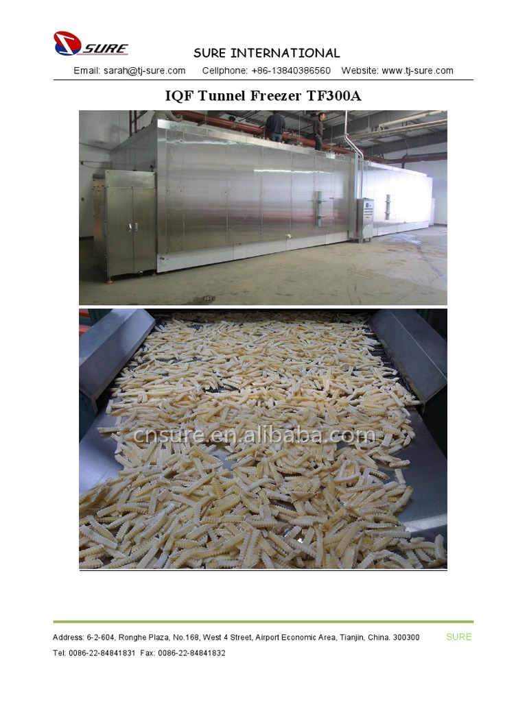 Maquina Iqf 300 KG X Hora | PDF | Refrigerator | Stainless Steel