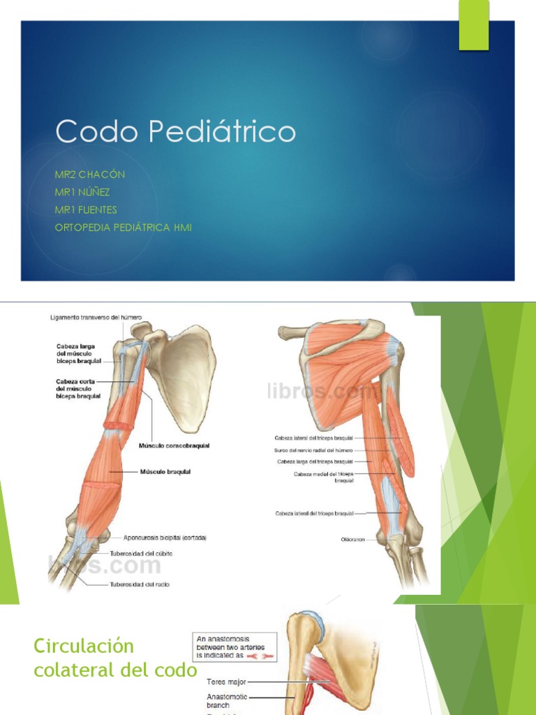 Codo Pediatrico Hmi Pdf Codo Anatomía Humana