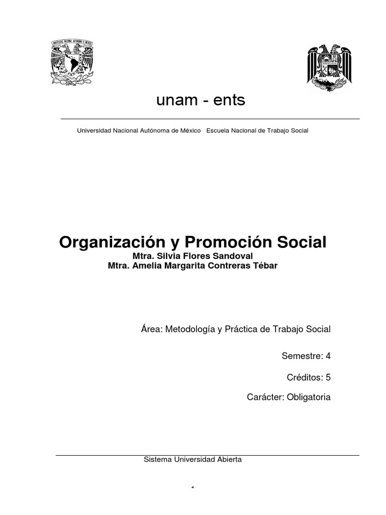 Organizacion Promocion Social PDF | PDF | Trabajo Social | Sociedad