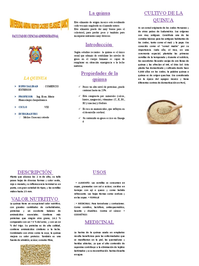 Triptico La Quinua | PDF | Quinua | Cereales