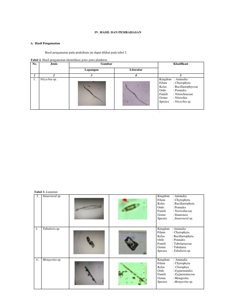 Identifikasi Nitzschia sp. dalam Plankton | PDF