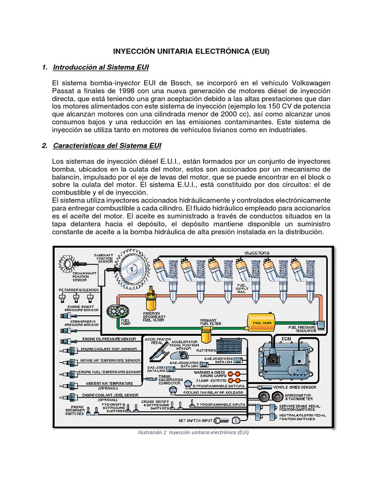 Heui y Eui | PDF | Motor diesel | Bomba
