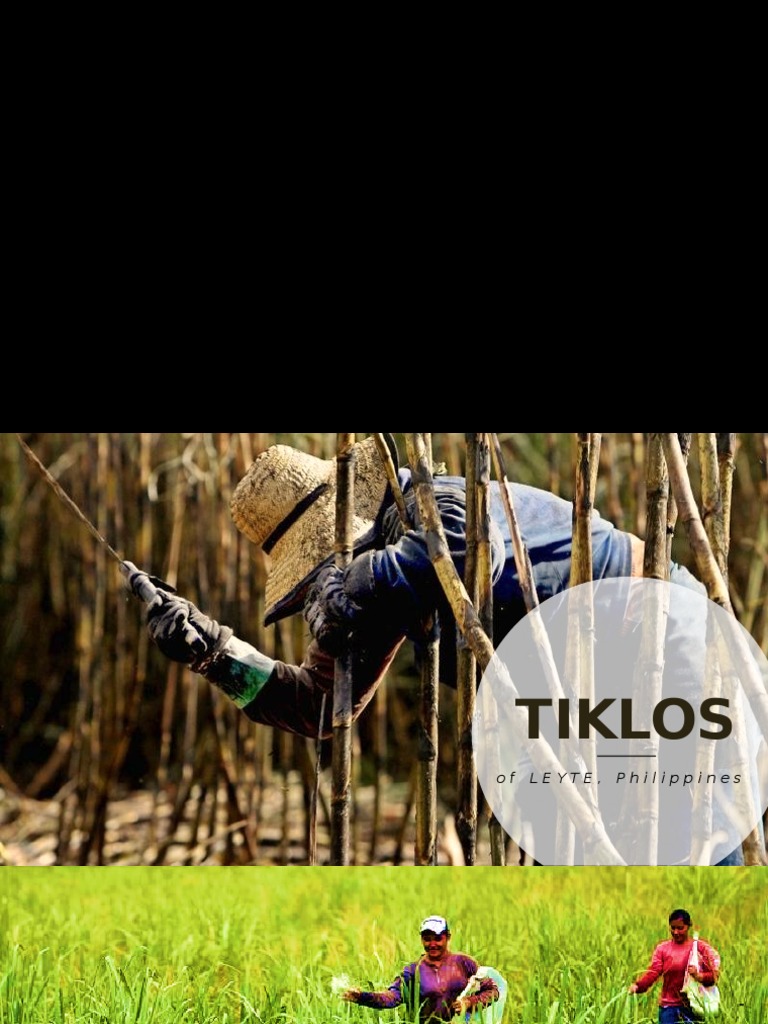 Tiklos History | PDF