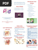 Leaflet Perawatan Organ Reproduksi | PDF