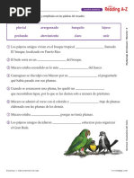 Taller de Comprensión Lector | PDF | Oso polar | Leopardo