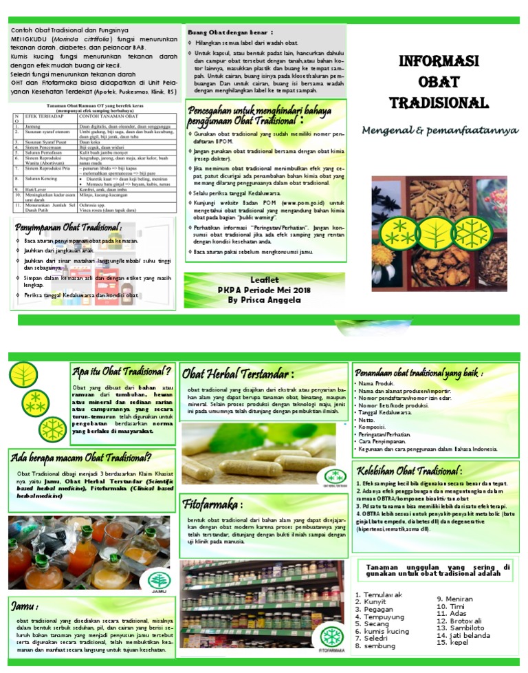 Leaflet Obat Tradisional | PDF