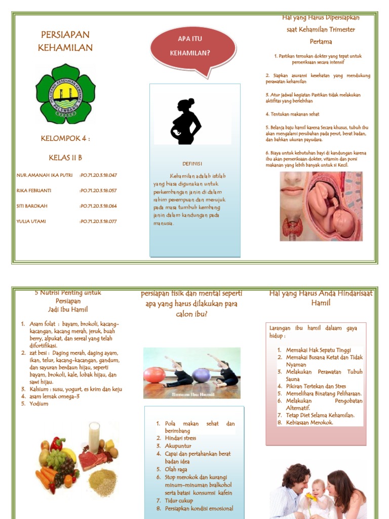 Persiapan Kehamilan | PDF
