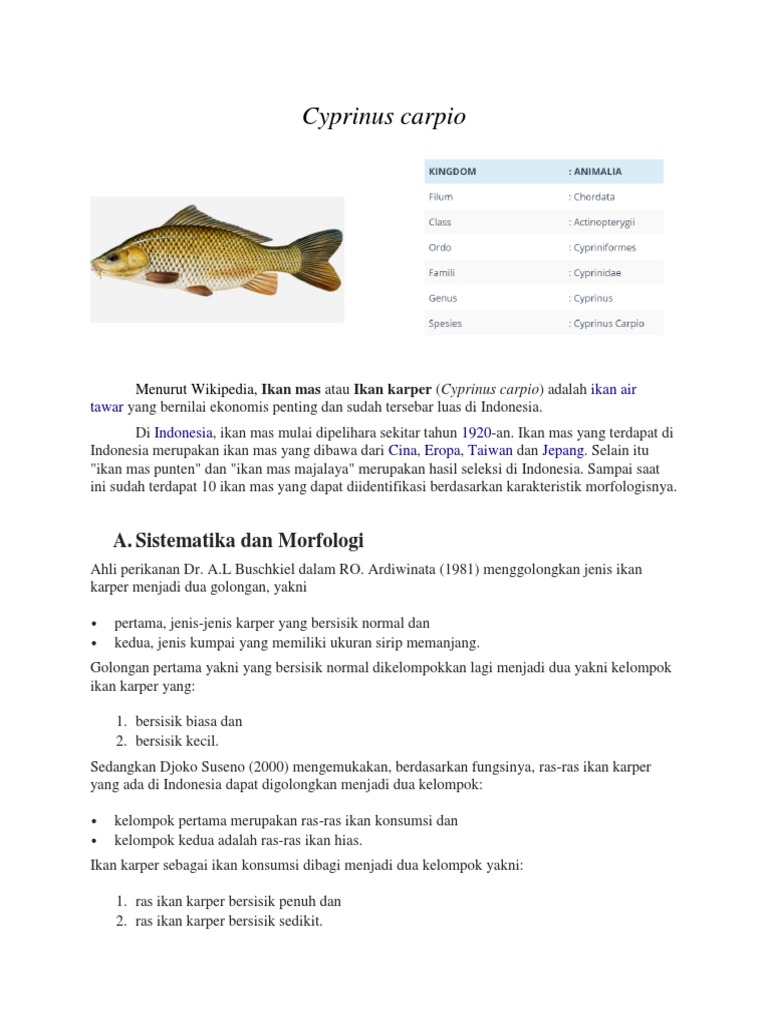 Cyprinus Carpio | PDF