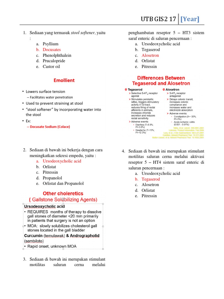UTB GIS2 17 Jawab | PDF