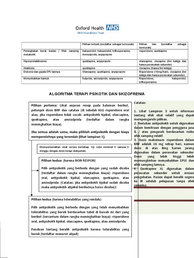 Algoritma Terapi Psikotik Dan Skizofrenia 2 | PDF