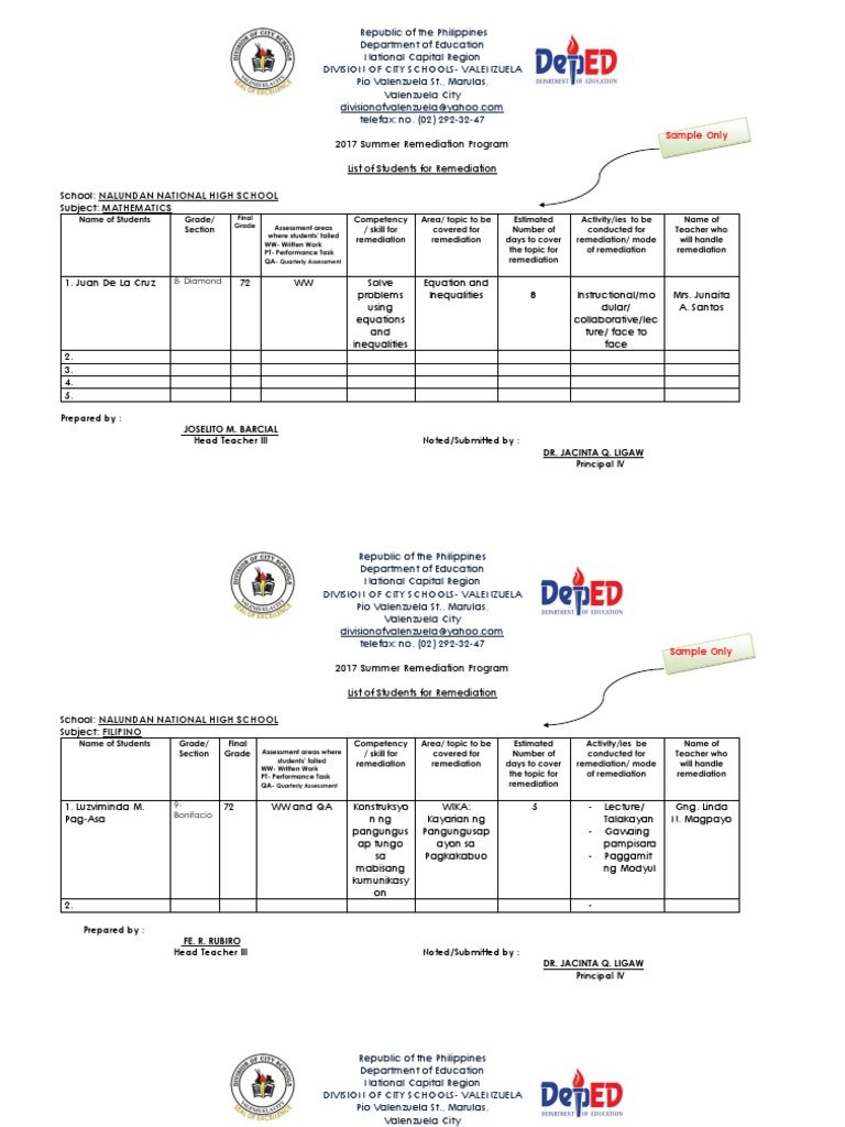 Remediation Report | PDF