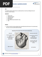 Sheep Heart Dissection Lab | PDF