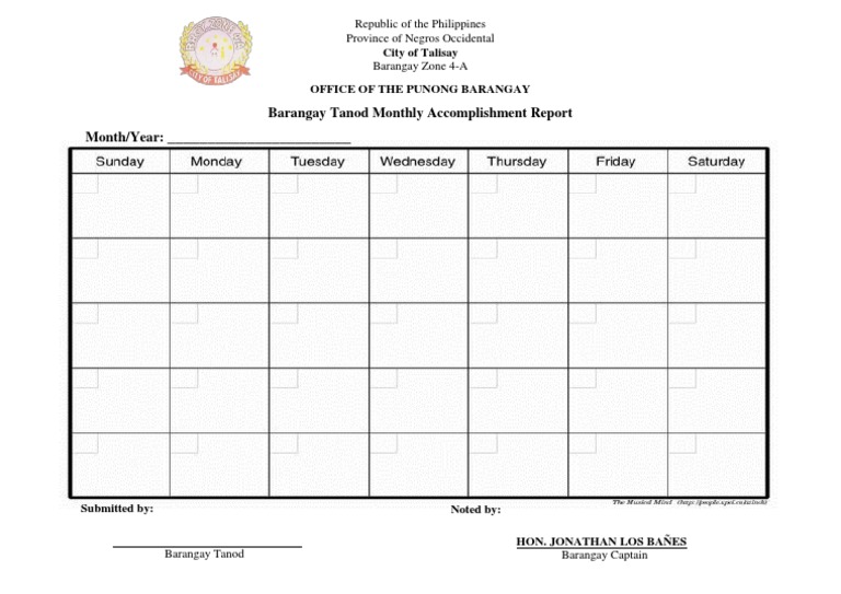 Barangay Tanod Monthly Accomplishment Report | PDF