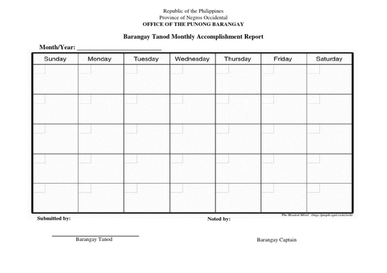 SAMPLE_Barangay Tanod Monthly Accomplishment Report.docx