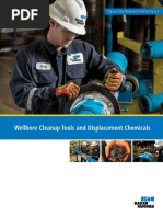 API 11D1 - 4th 2021 Addendum 1 | PDF | Visual Cortex | Verification And Validation