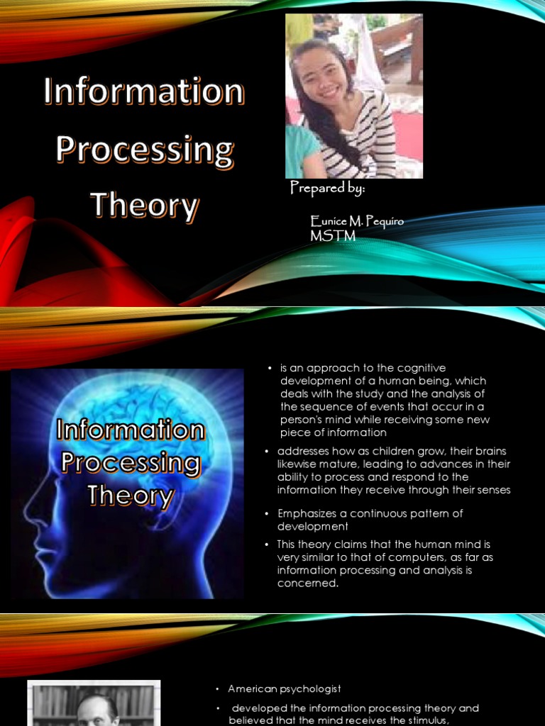 Information Processing Theory | PDF | Information Processing | Memory