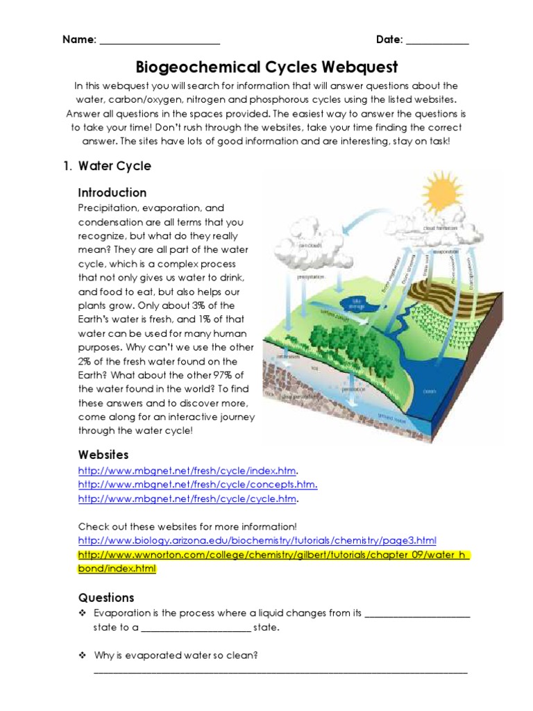 Biogeochemical Cycles Webquest Guide | PDF | Carbon Dioxide | Nature