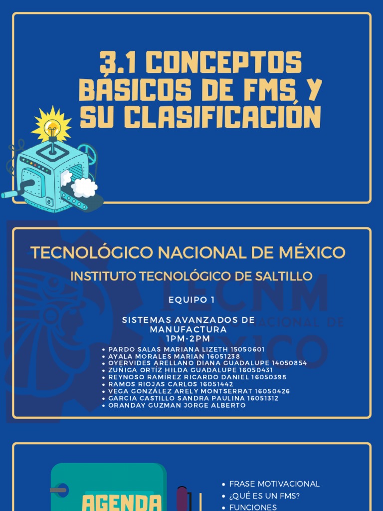 3.1 Conceptos Básicos de Fms y Su Clasificación | PDF