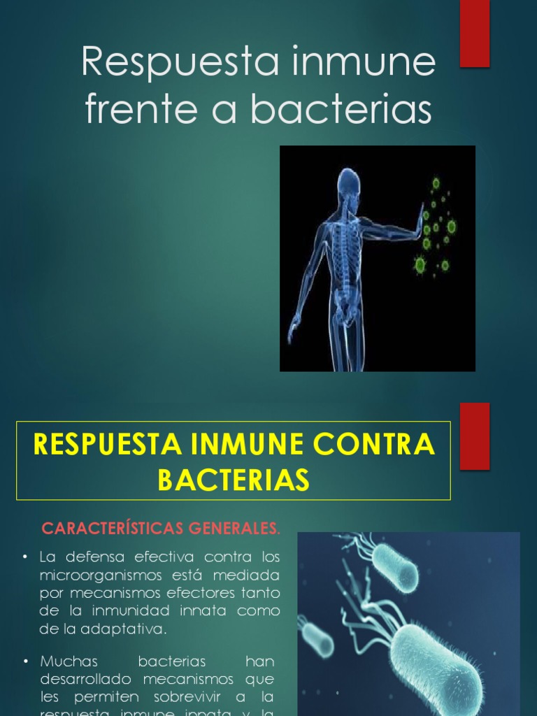 Respuesta Inmune Frente A Bacterias | PDF | Sistema complementario | Inmunidad humoral