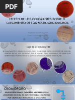 Monoterpenos: Estructura y Ejemplos | PDF | Compuestos orgánicos | Química