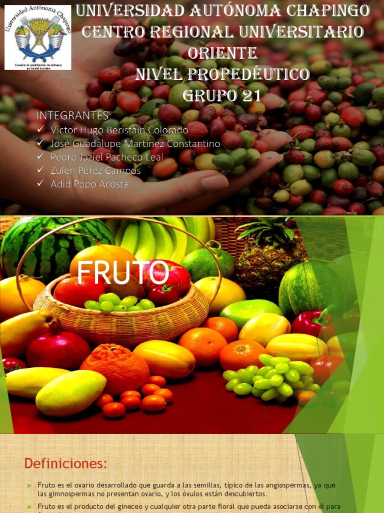 Fruto y Semilla | PDF | Fruta | Germinación