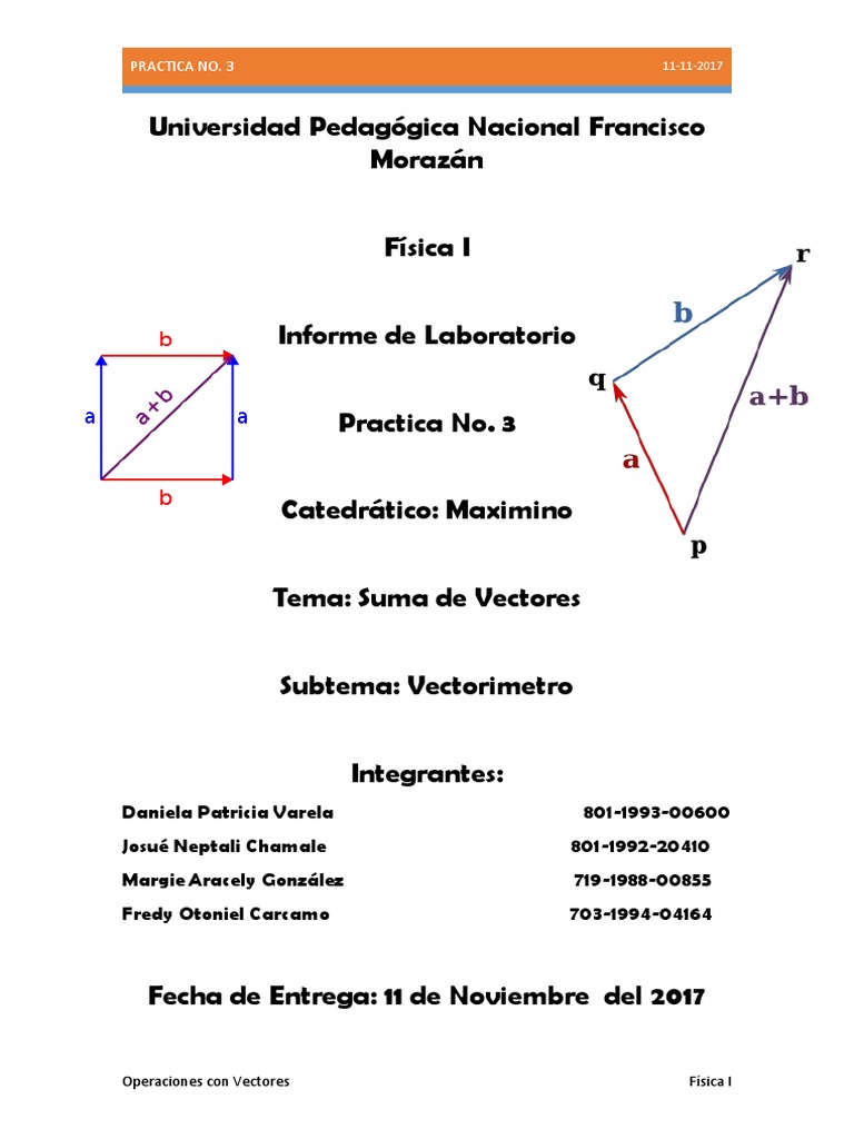 Lab Vectorimetro Finalizado | PDF | Vector Euclidiano | Análisis matemático