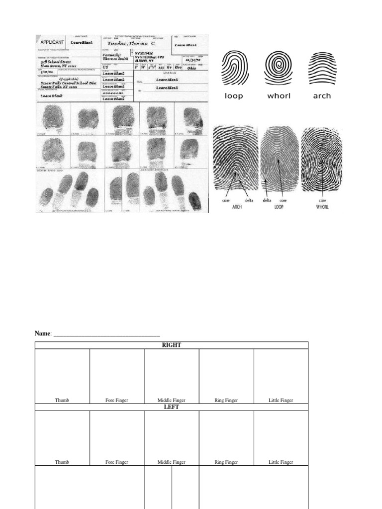 Exercise Personal Identification | PDF