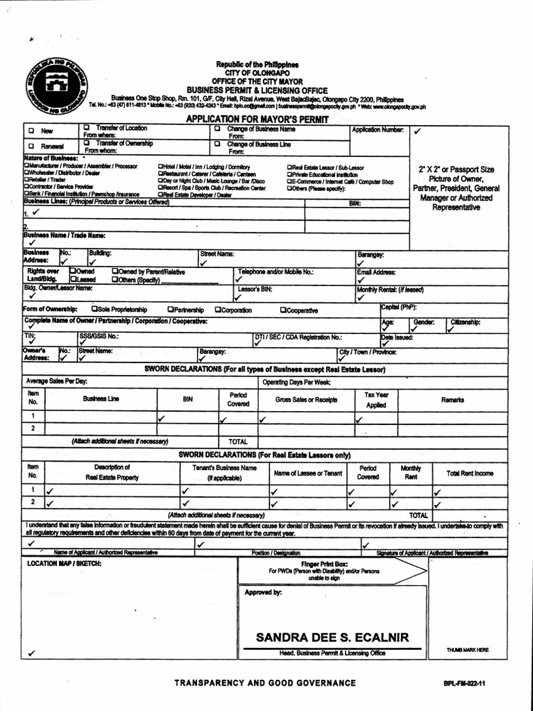 Mayor's Permit Application Form | PDF