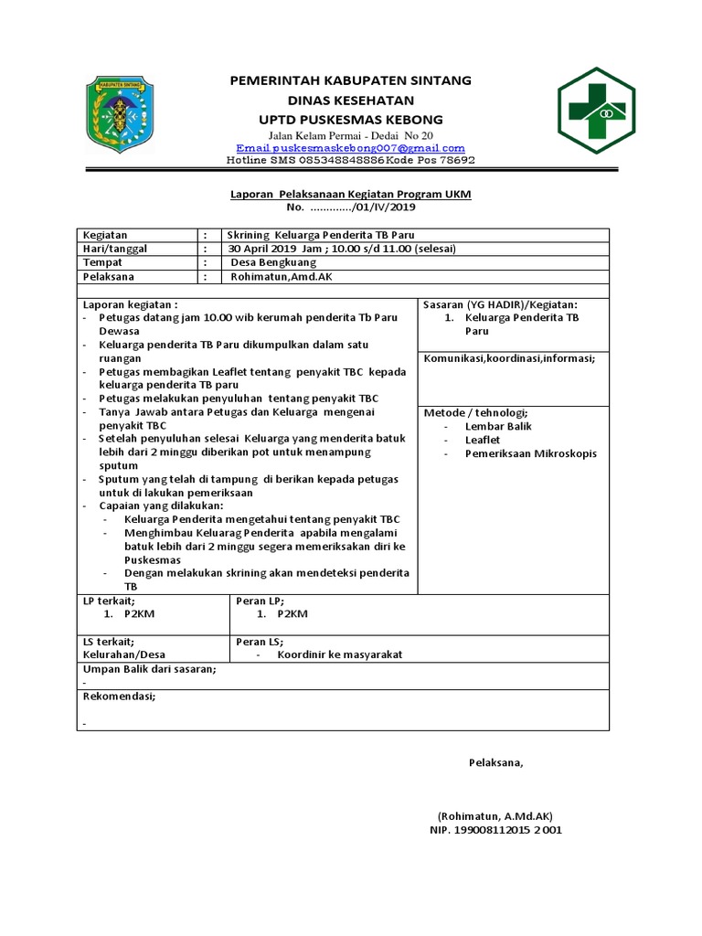 Laporan Pelaksanaan Kegiatan Program UKM | PDF