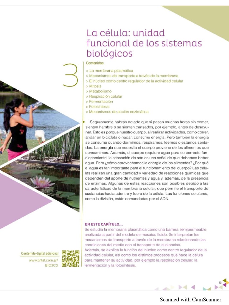 4 Tinta Fresca | PDF