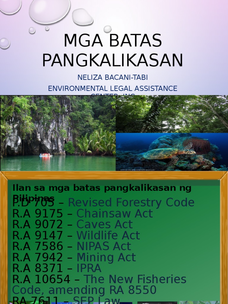 Batas Pangkalikasan | PDF