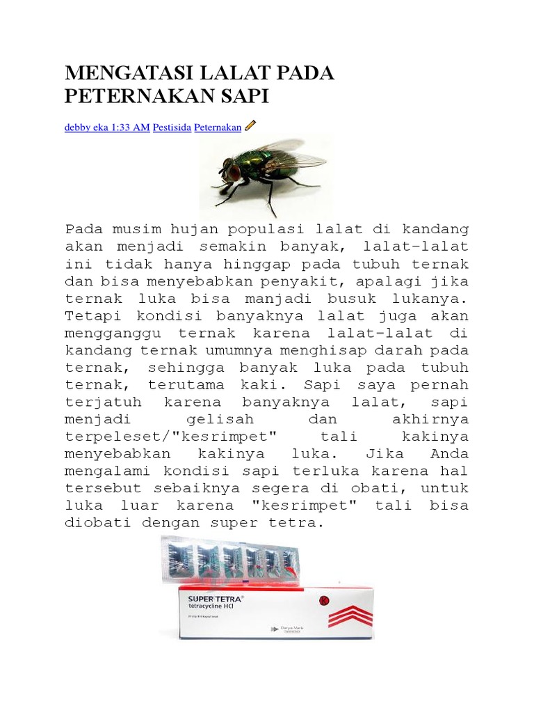 Mengatasi Lalat Pada Peternakan Sapi | PDF