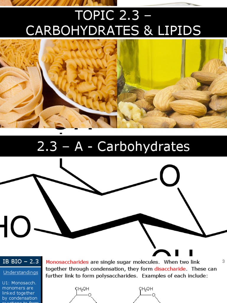 09 - IB Biology (2016) - 2.3 - Carbohydrates & Lipids | PDF | Saturated ...