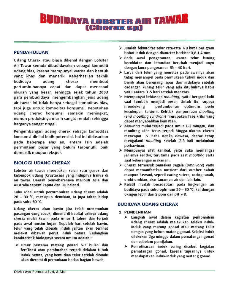 Leaflet Lobster | PDF