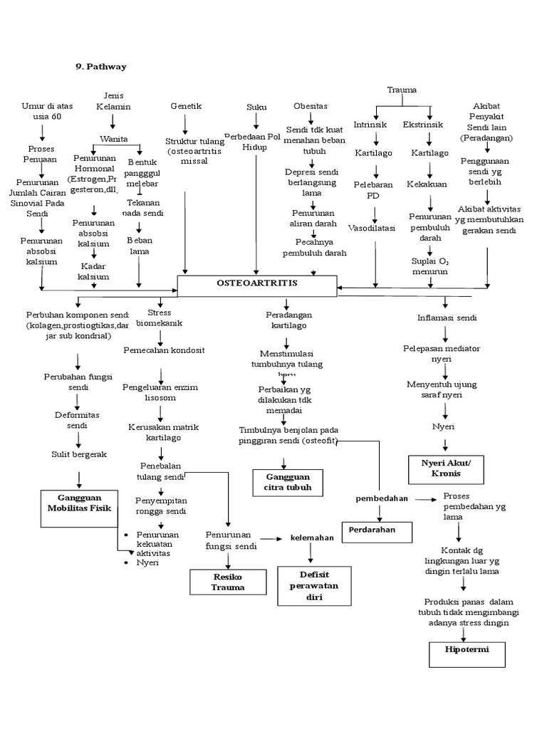 Pathway OA GENU | PDF