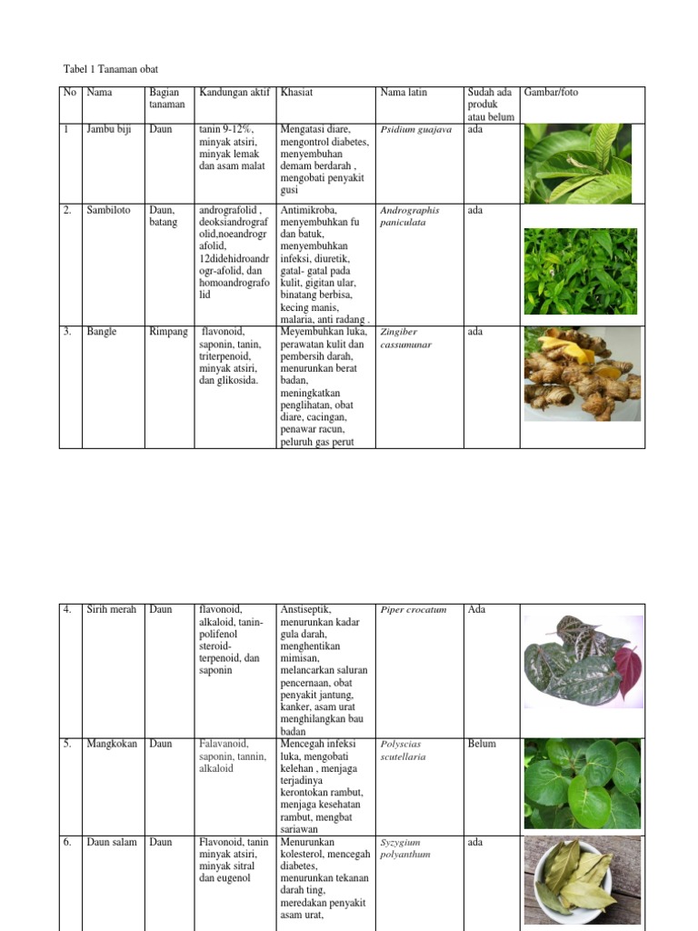 Tabel 1 Tanaman Obat | PDF