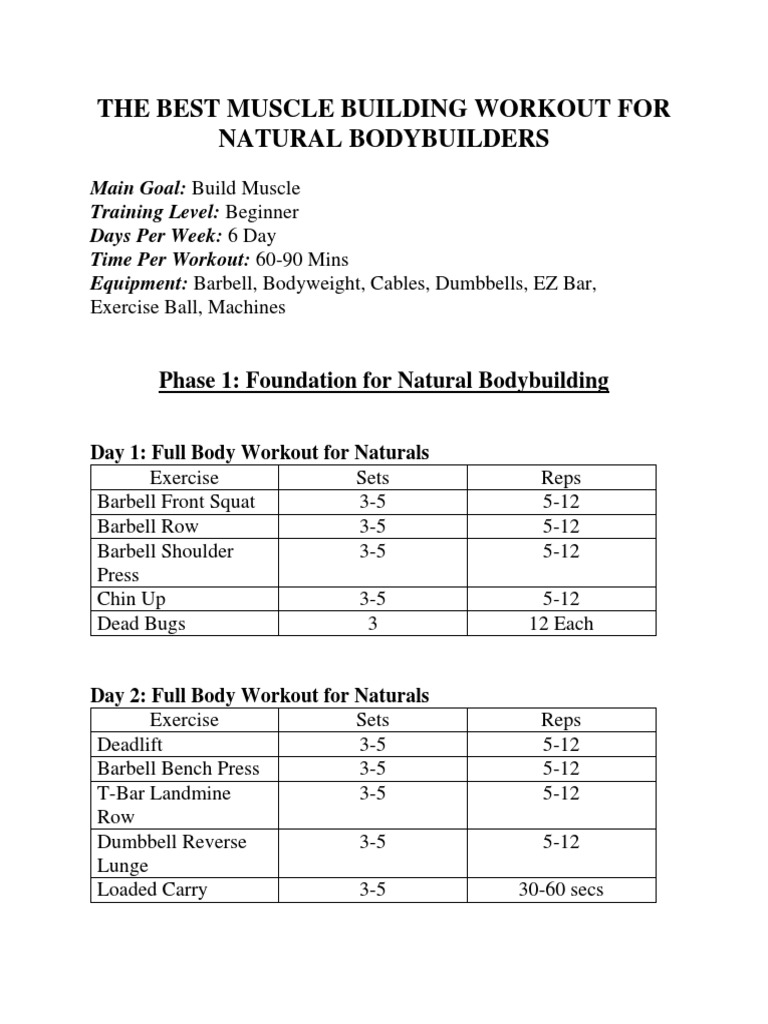 Best Natural Bodybuilding Workout Plan | PDF